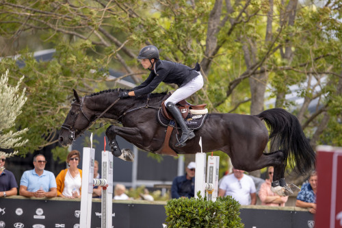 Impress-K van 't Kattenheye Z - Hippomundo